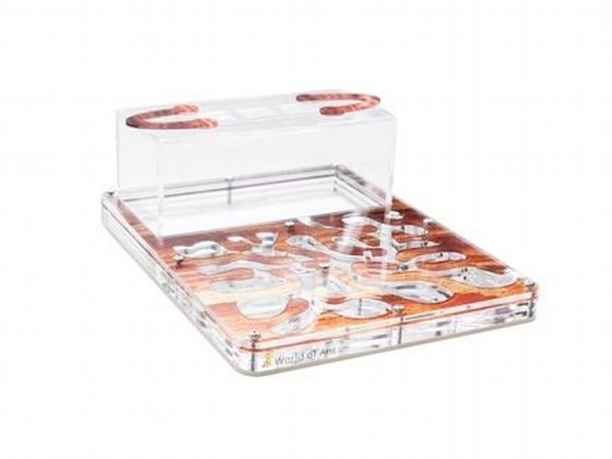 Муравьиная ферма (формикарий) "Джамбу" Стандарт