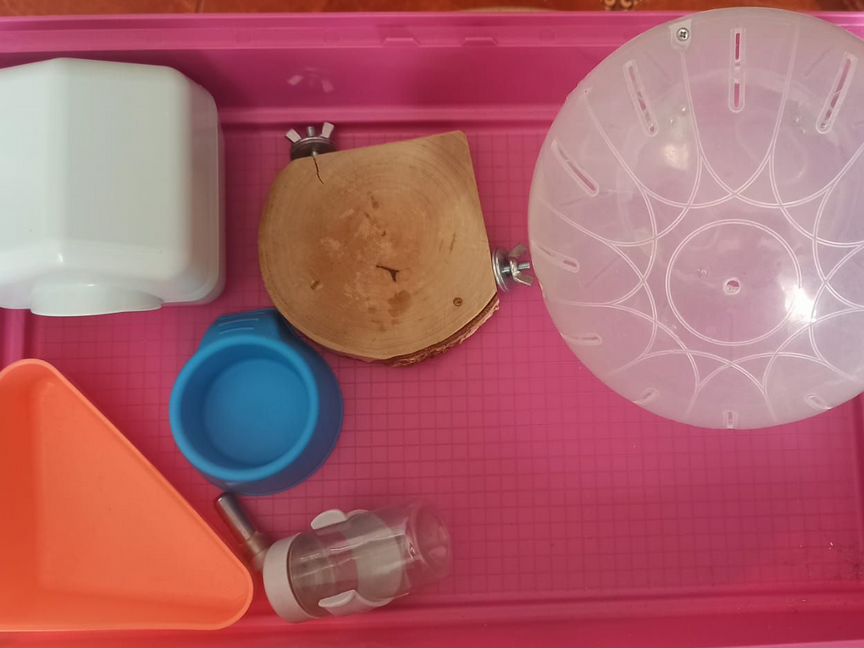 Клетка для хомяка со всем необходимым