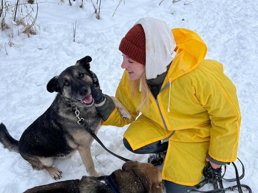 Будем рады гостям в нашем приюте