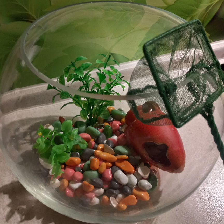 Ваза аквариум