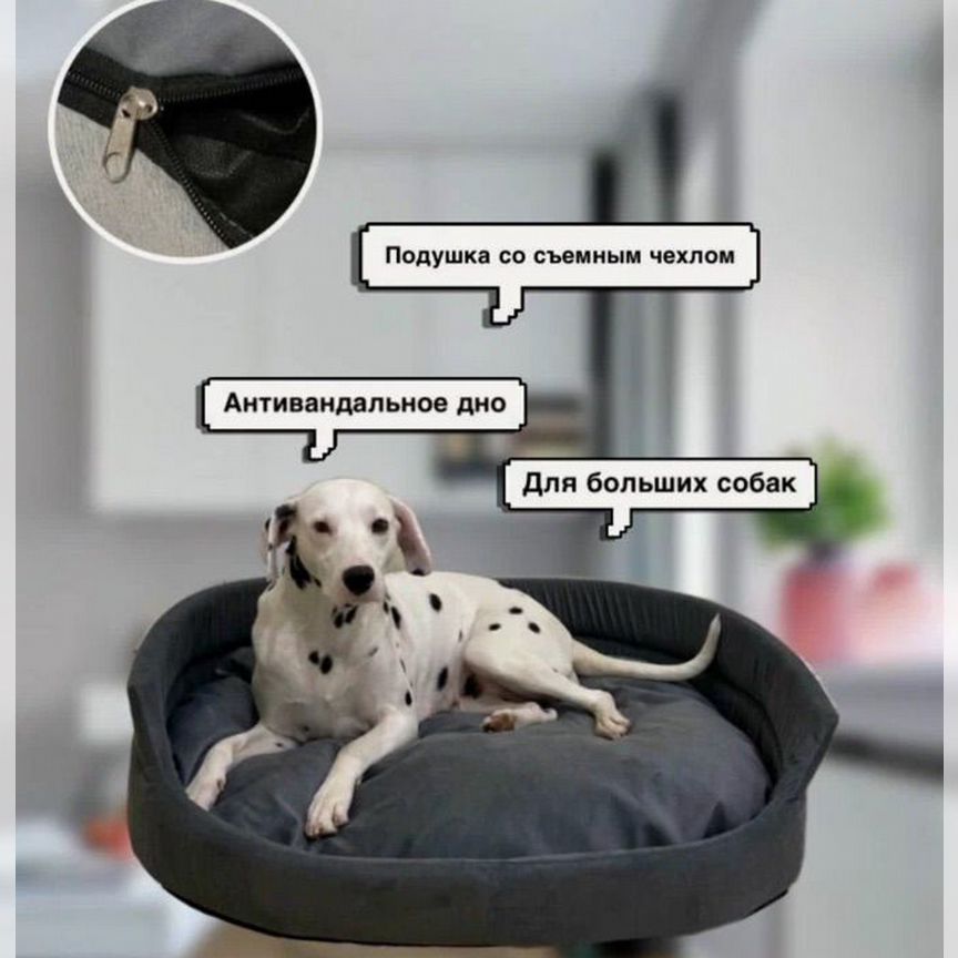 Лежанка для большой собаки