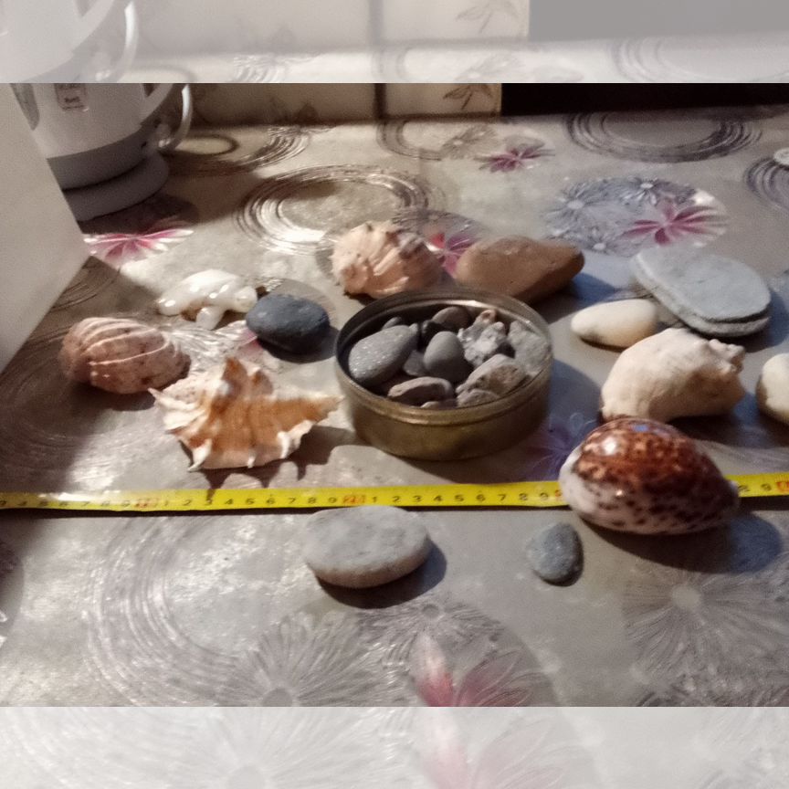 Ракушки морские и камешки