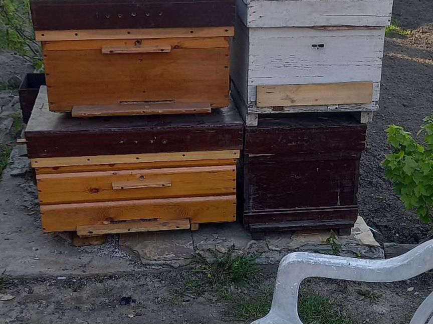 Улей для пчел бу