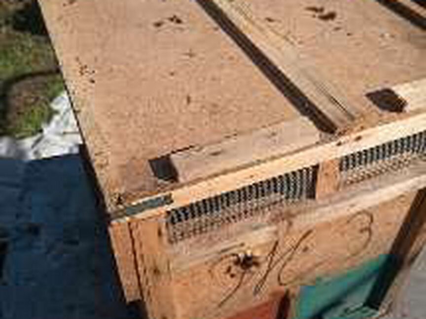 Рамоносы пчел