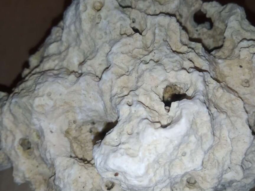 Камень пористый аквариум/террариум/флорариум