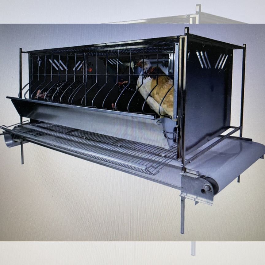 Клетка для кур несушек или бройлеров на 10 голов