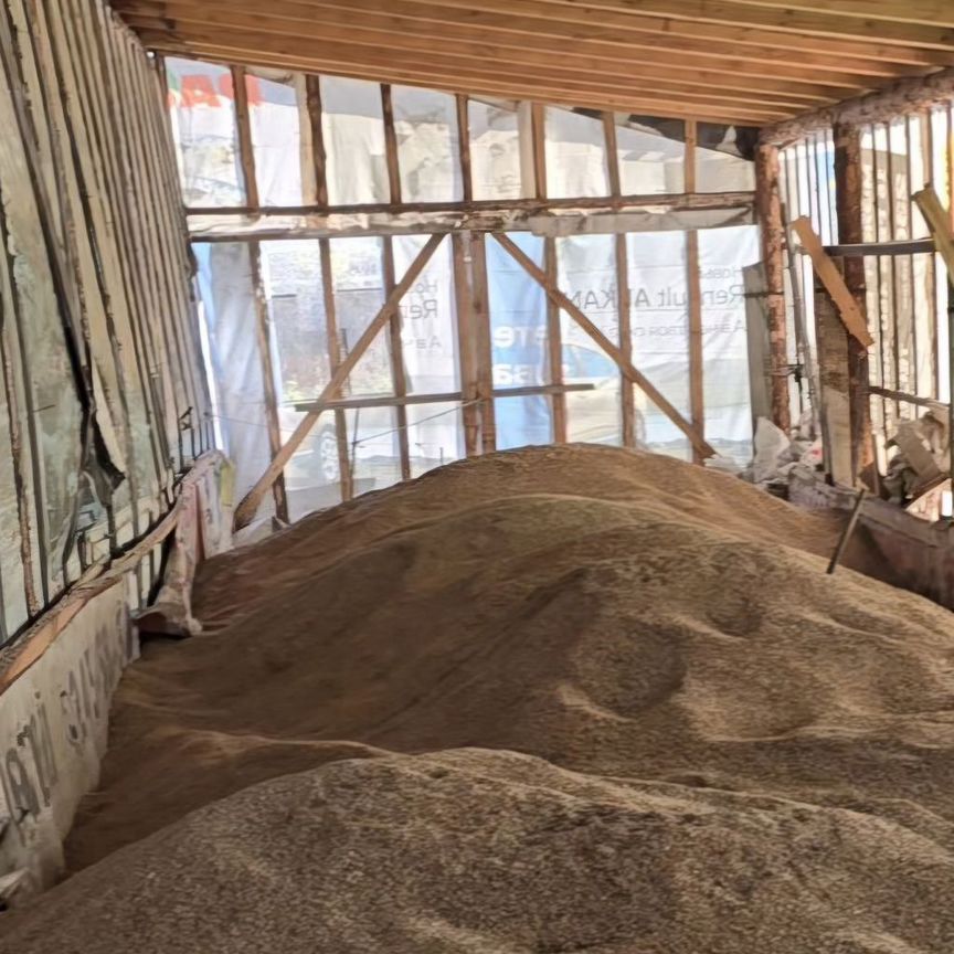 Продам зерно, овес