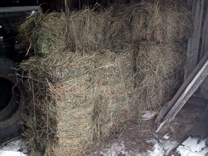 Сено для животных и птиц