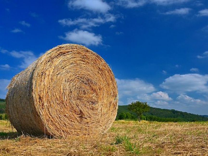Сено в тюках, солома