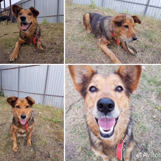 Линда ищет дом