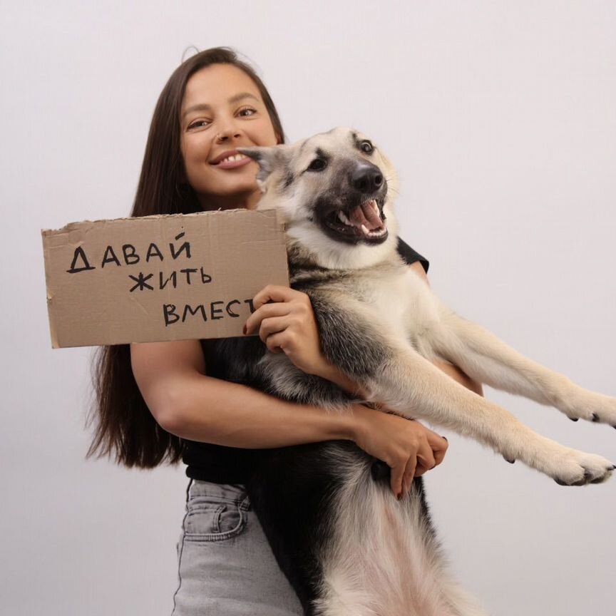 Щенок в добрые руки