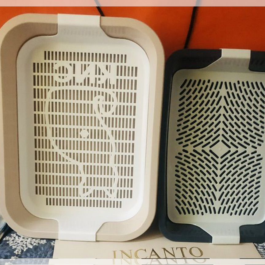 Талант для животных