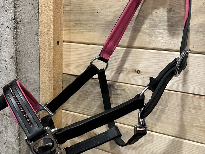 Недоуздок кожаный