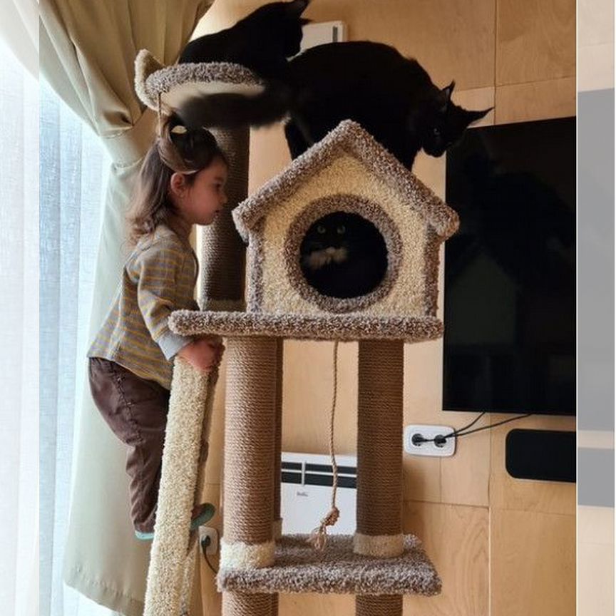 Домик и когтеточки для кошек Индивидуальный заказ