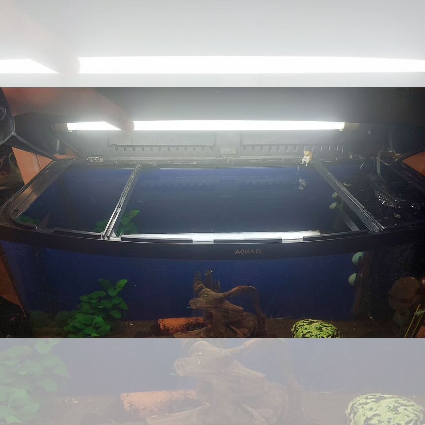 Аквариум aquael 100л