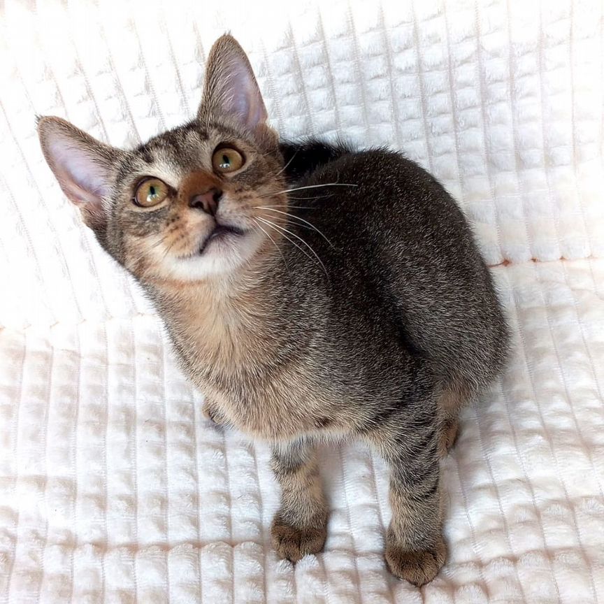 Чудо пацан ищет маму