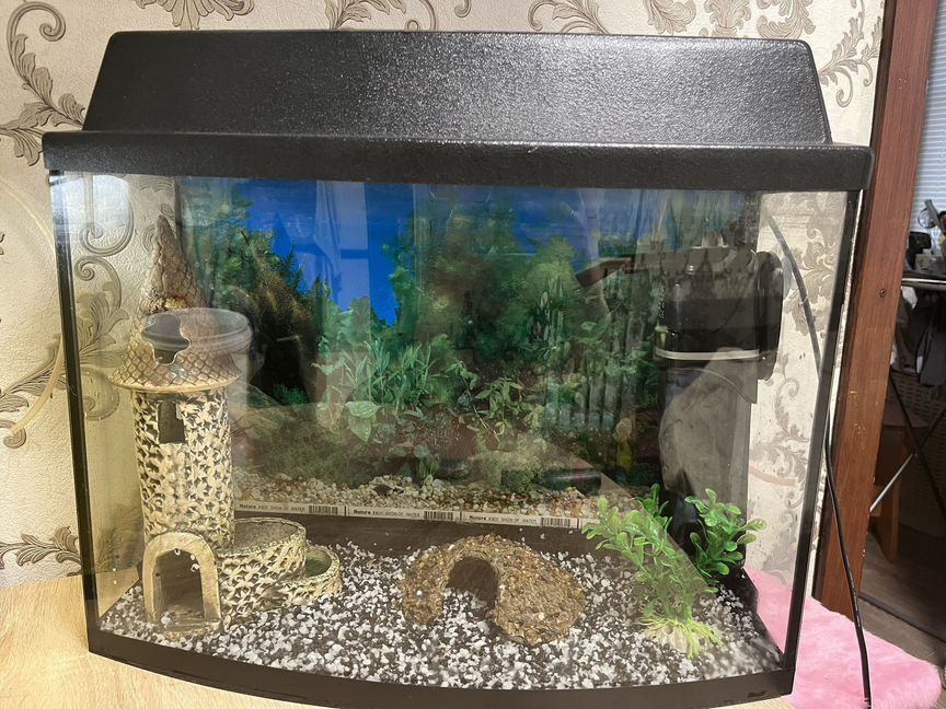 Готовый аквариум 35-40л