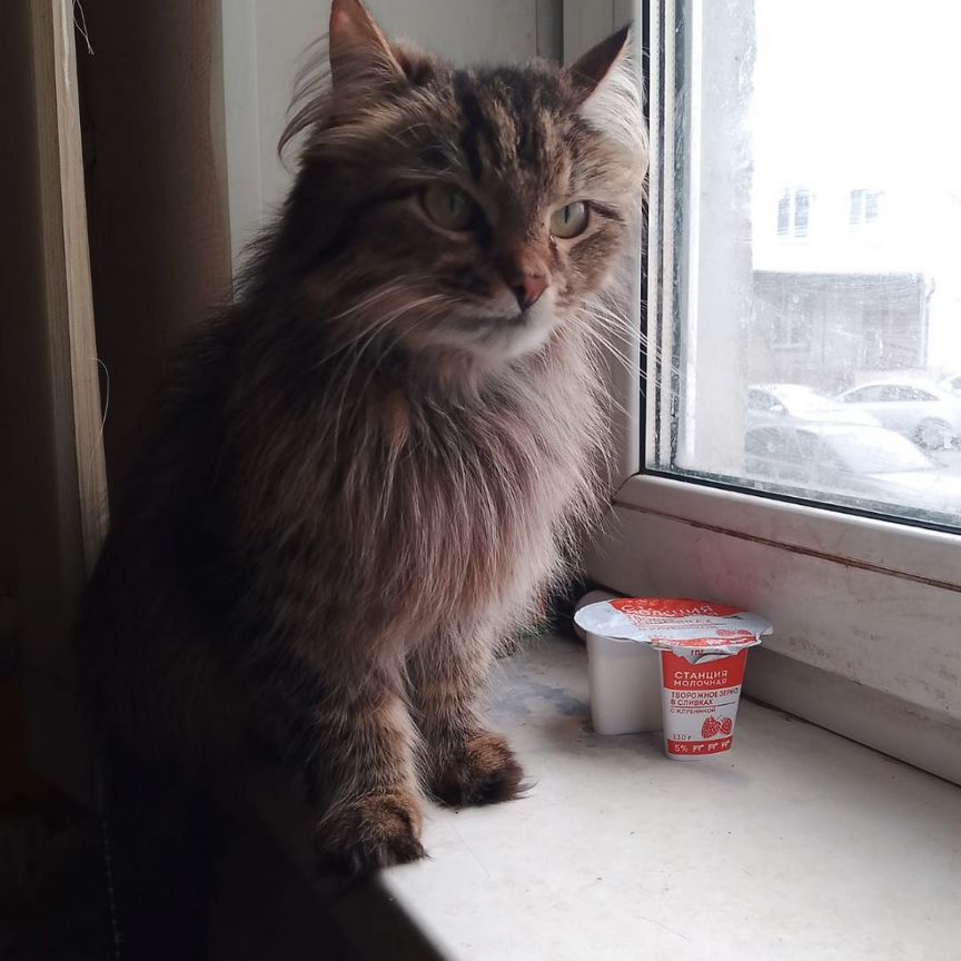 Анюта