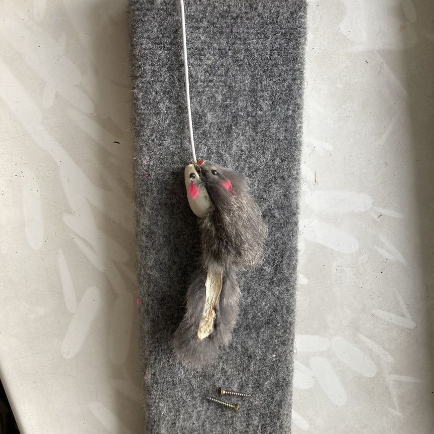 Когтеточка