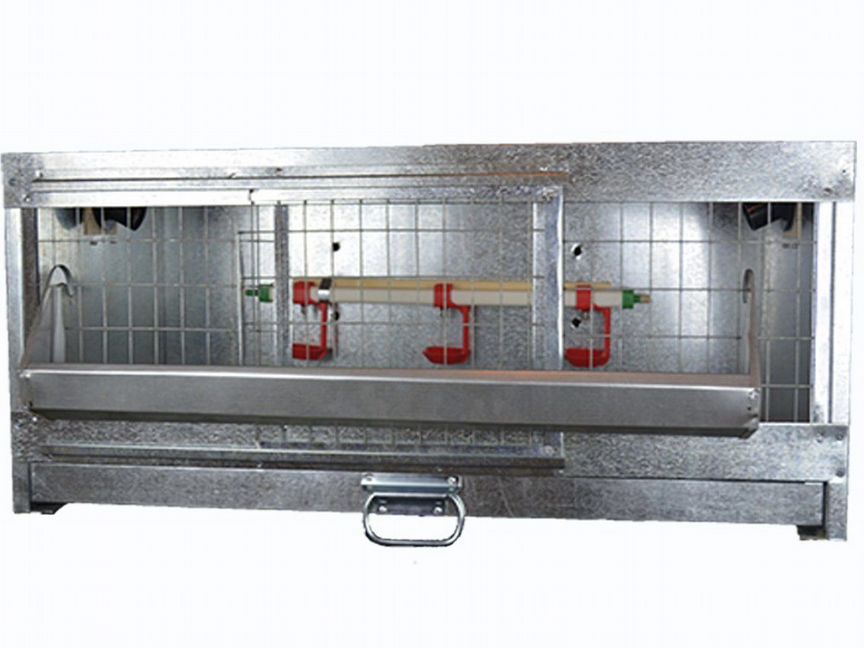 Брудер для цыплят «премиум»