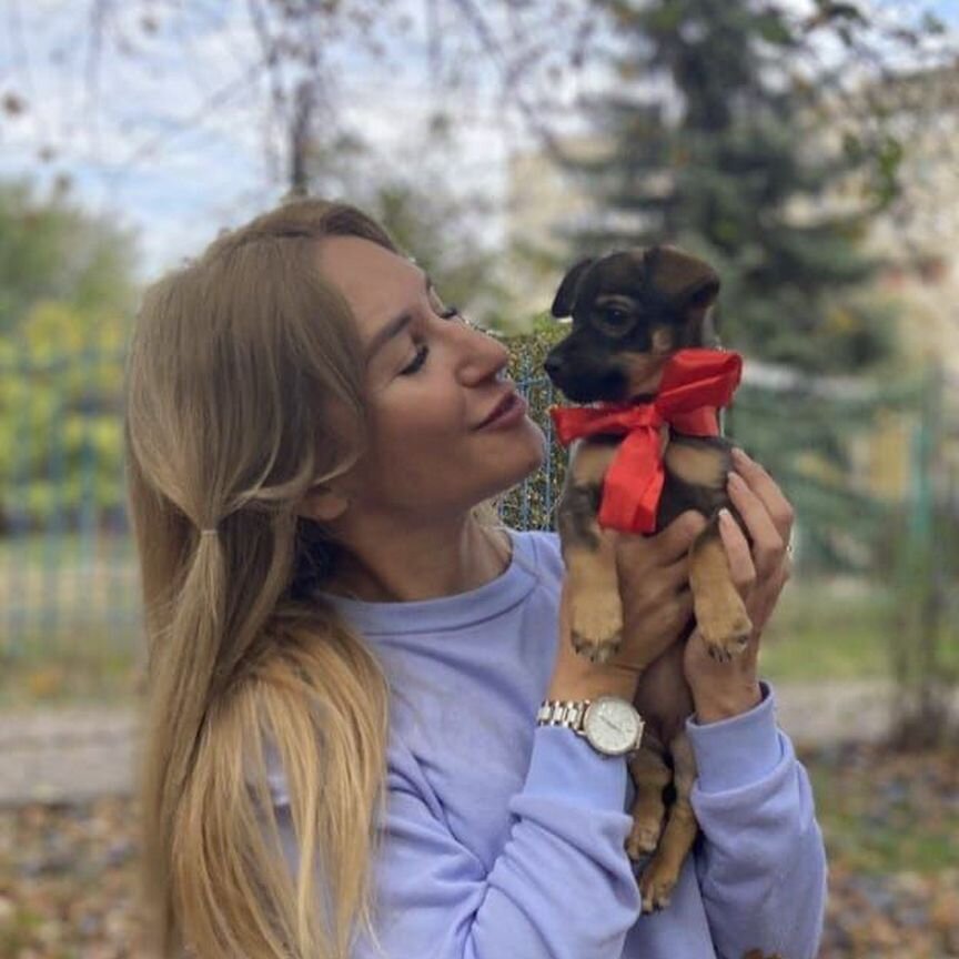 Крохотуля щенуля в дар