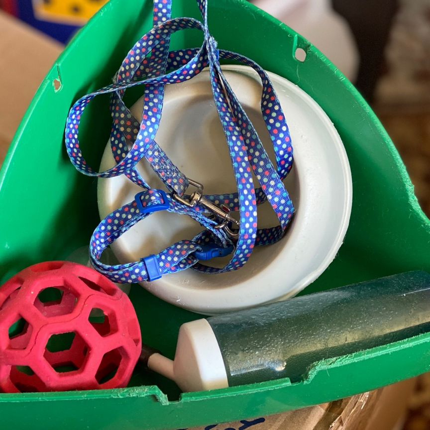 Миска, поилка, лоток, поводок для вашего питомца