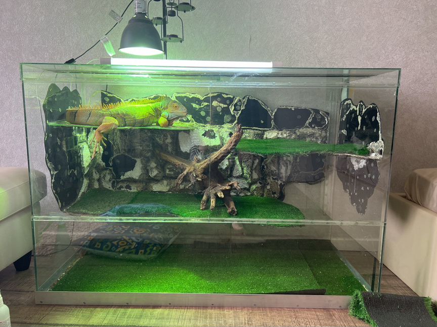 Террариум для игуаны