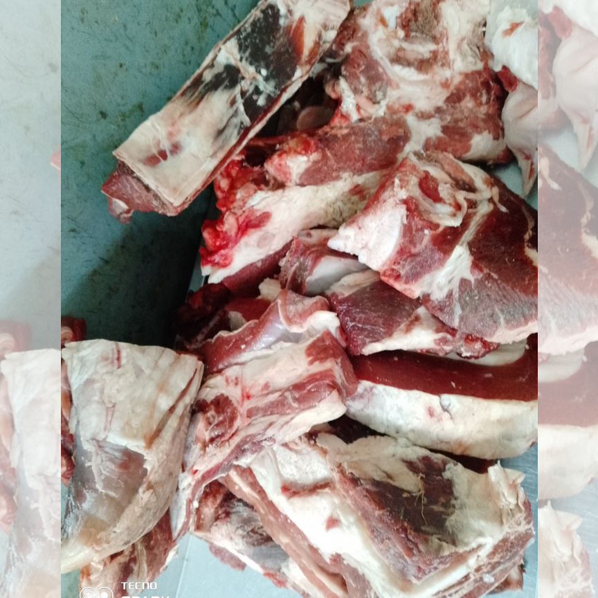 Продам мясо говядина для собак