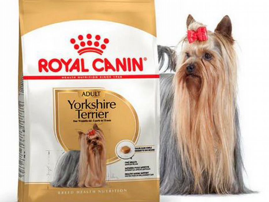 Royal Canin Yorkshire Terrier adult 6/15 кг