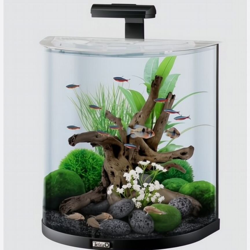 Оригинальный панорамный аквариум tetra 30 литров
