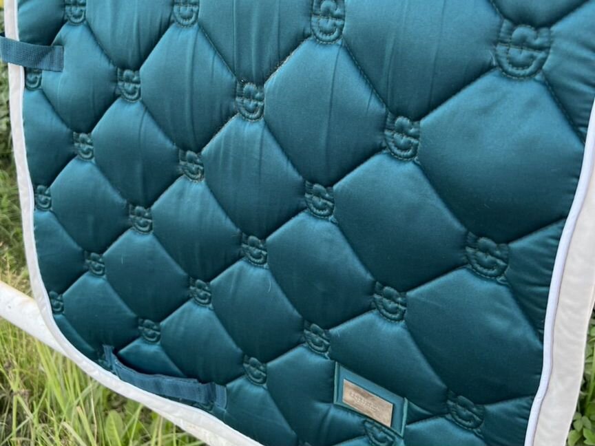 Вальтрап equestrian stockholm