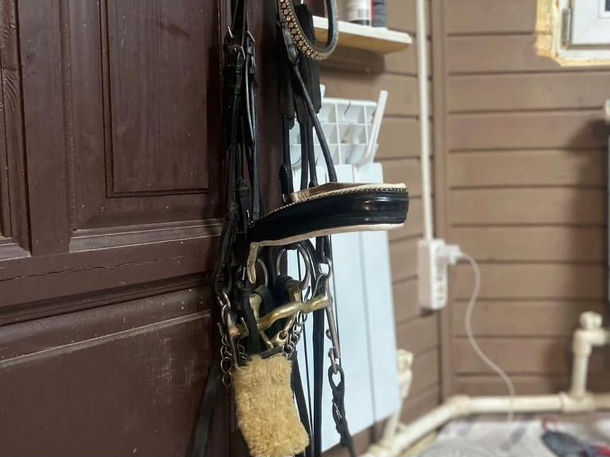 Оголовье выездковое Toto