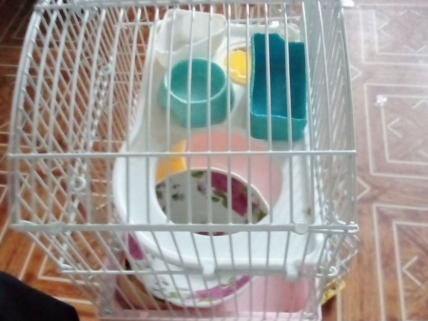 Вещи для хомяка