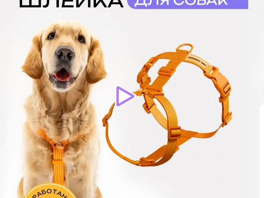 Шлейка и сворка для собаки