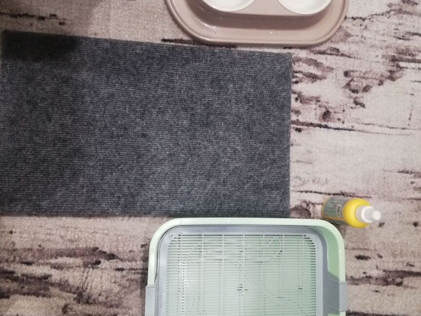 Предметы для кошки