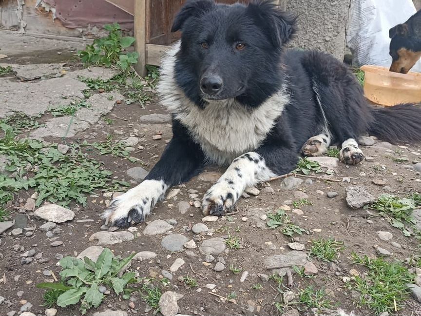 Мальчик 1 год очень воспитанный