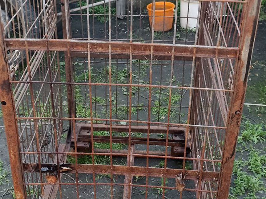 Клетка металлическая