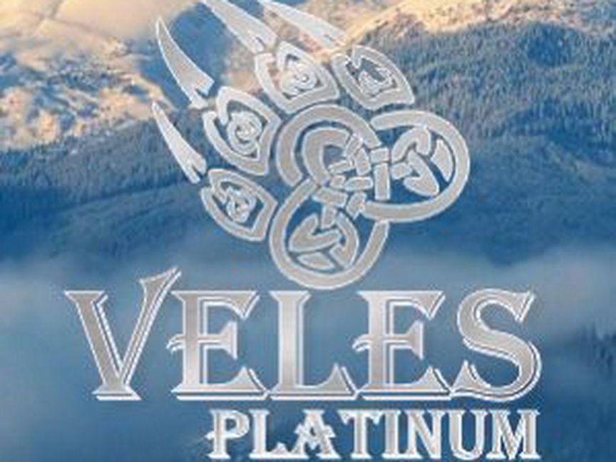 Корм для кошек и собак