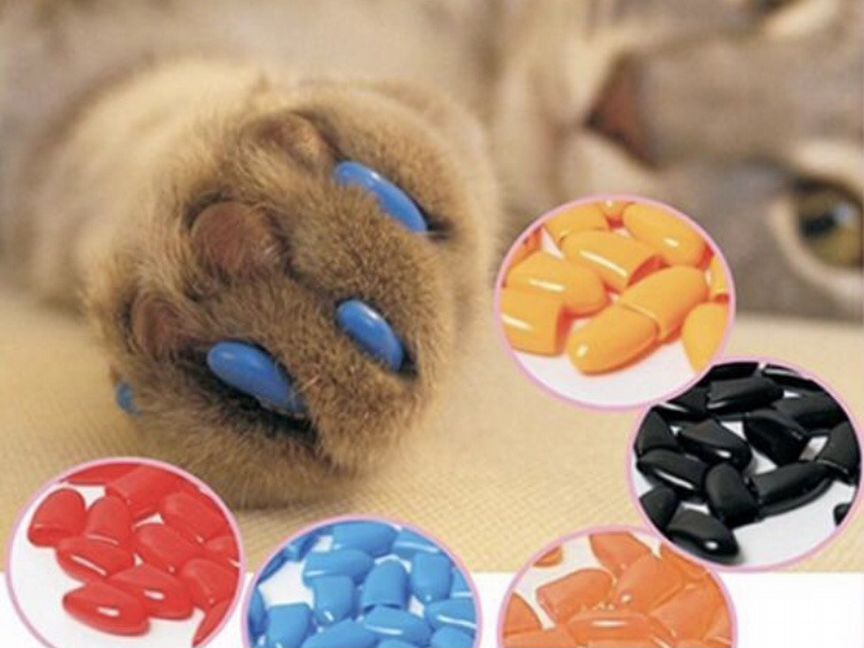 Антицарапки для кошек насадки на когти