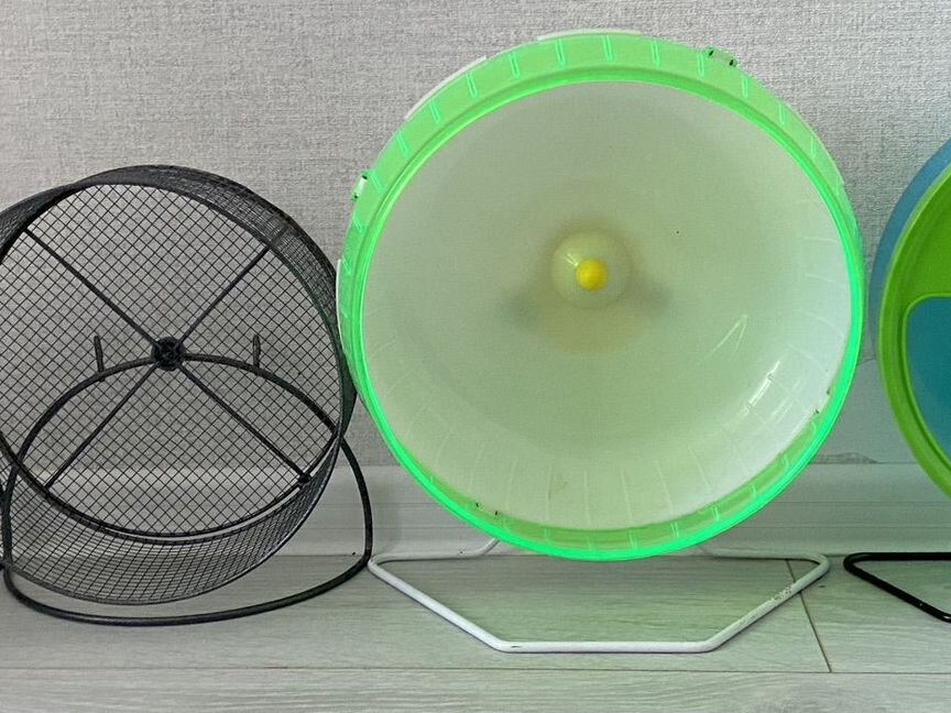 Товары для грызунов