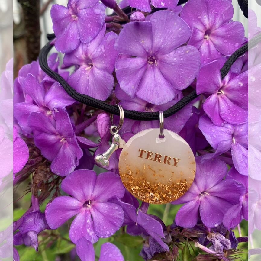 Адресник для собак и кошек