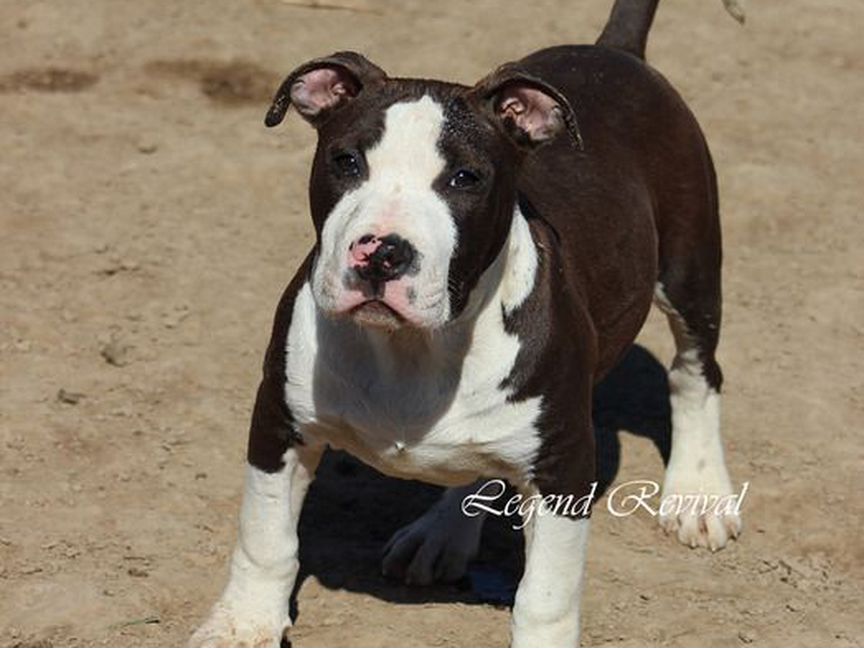 Тяжёлый тип. Мальчик