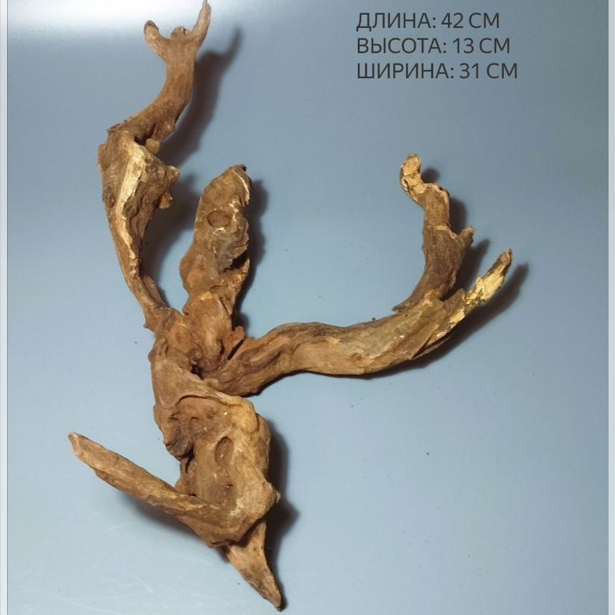 Коряга мангровая для аквариума 42*31*13 вк60
