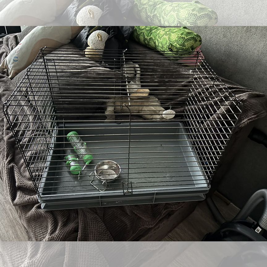 Клетка для крупных грызунов