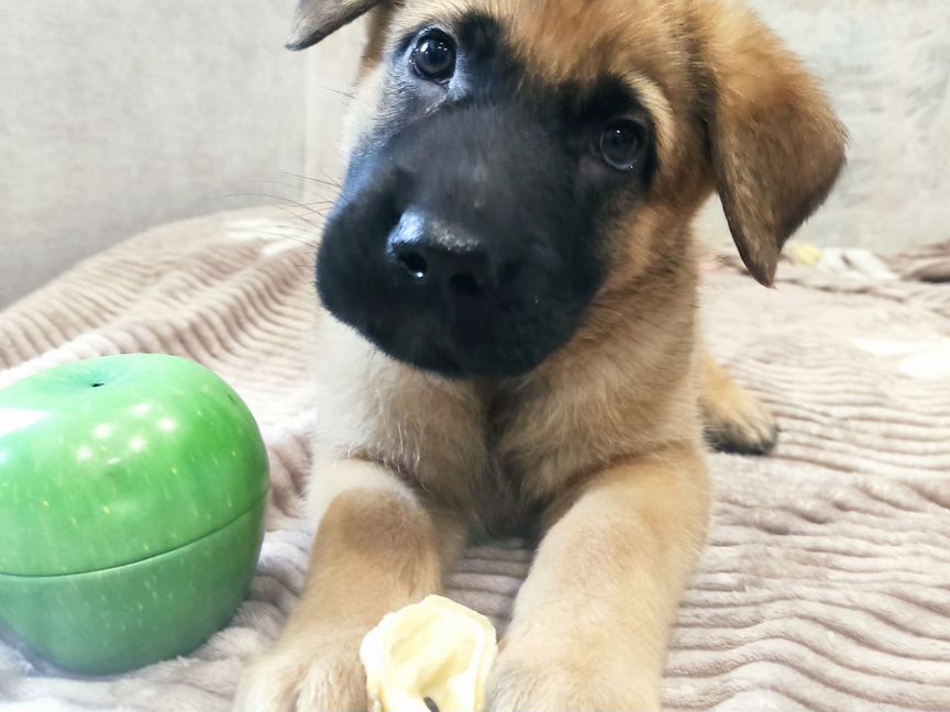 Малыша 2-2, 5 мес, подкинули