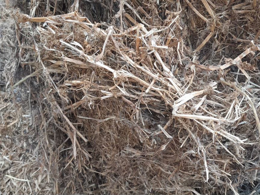 Солома гороховая в рулонах