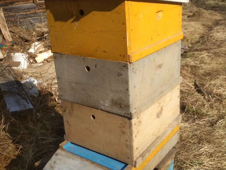 Улей для пчел бу