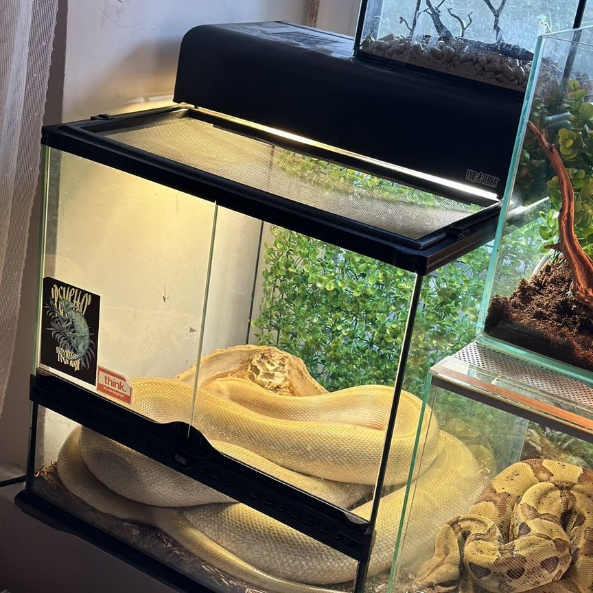 Террариум exoterra с лампой