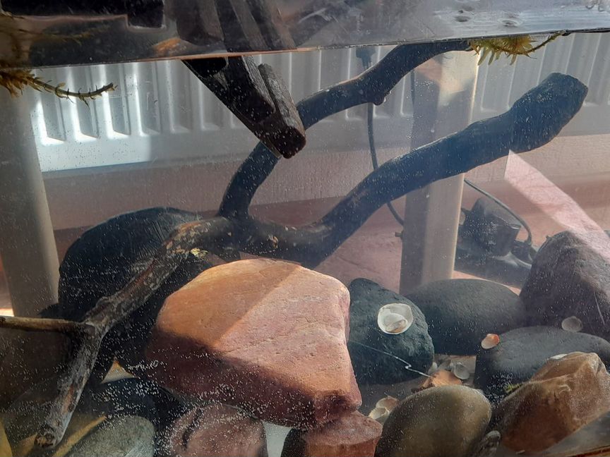 Большой аквариум