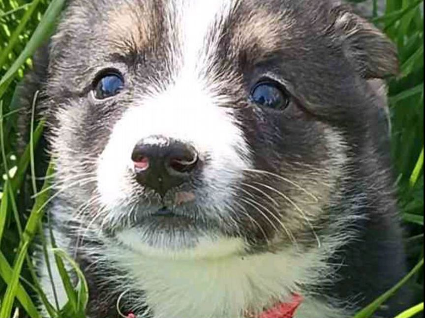 Красота 1 мес ответственным людям